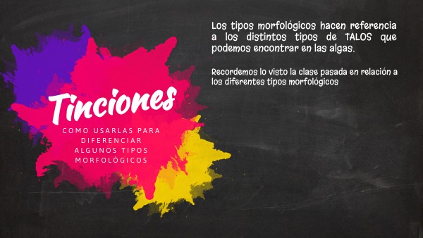 Tinciones en algas | Genially