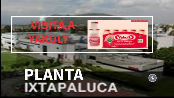 EVALUACIÓN: VISITA A YAKULT | Genially