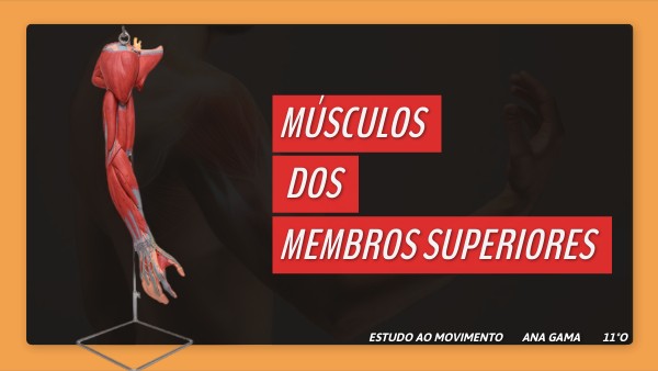 muscle MS