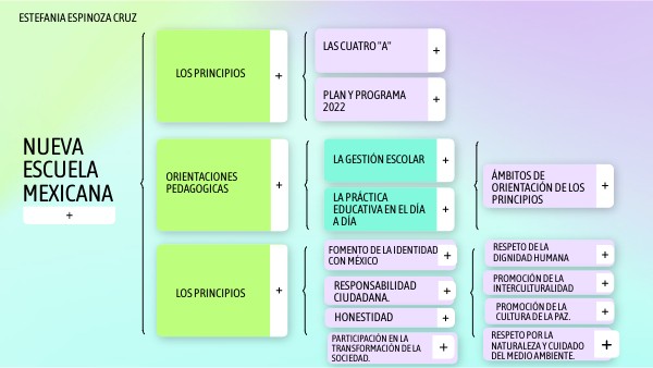 Esquema de la NEM | Genially