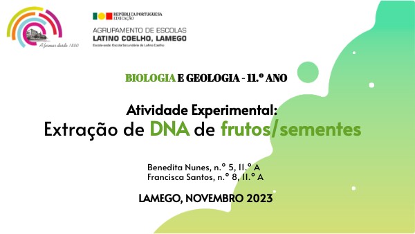 Extração de DNA de frutos/sementes | Biologia e Geologia - 11.º ano ...