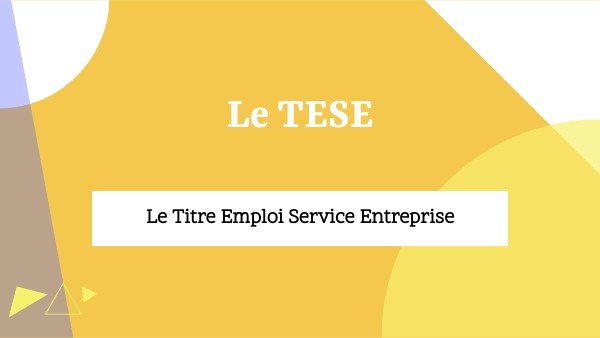 Cas particulier des TESE | Genially