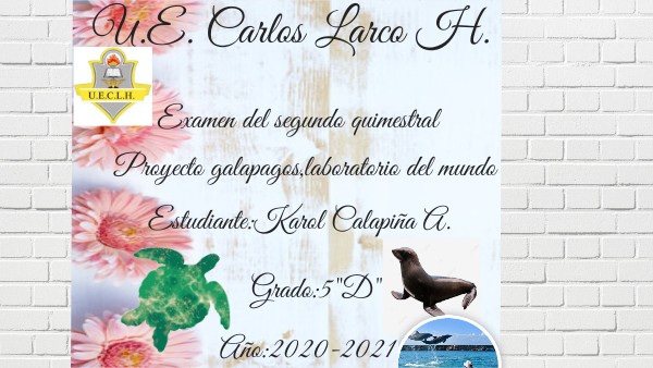 PRESENTACION DE KAROL