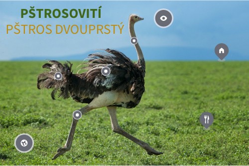 pstros-dvouprsty | Genially
