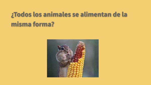 ¿Qué comen los animales? | Genially