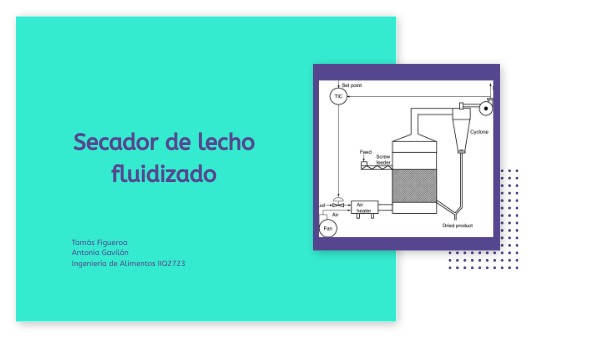 Secador de lecho fluidizado