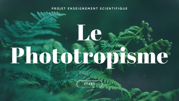 NATURE PRESENTATION | Genially