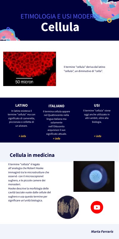 Cellula Ferraris | Genially