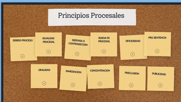 Principios Procesales | Genially