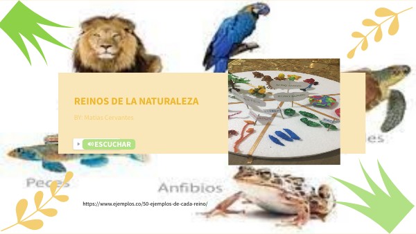 Reinos de la naturaleza- Matias Cervantes