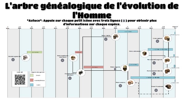 L'évolution de l'Homme Timeline