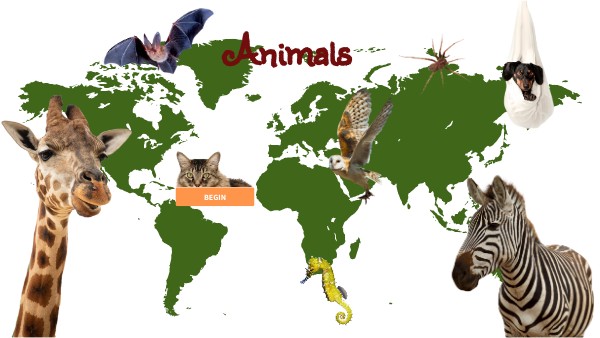 Animals
