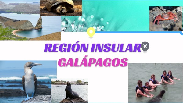 Región Insular