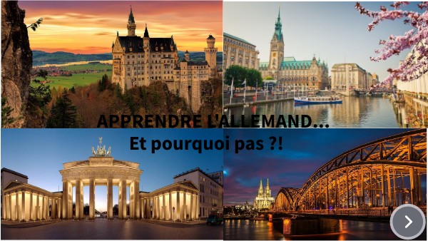 Présentation de la section bilangue école primaire | Genially