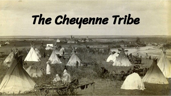 The Cheyenne