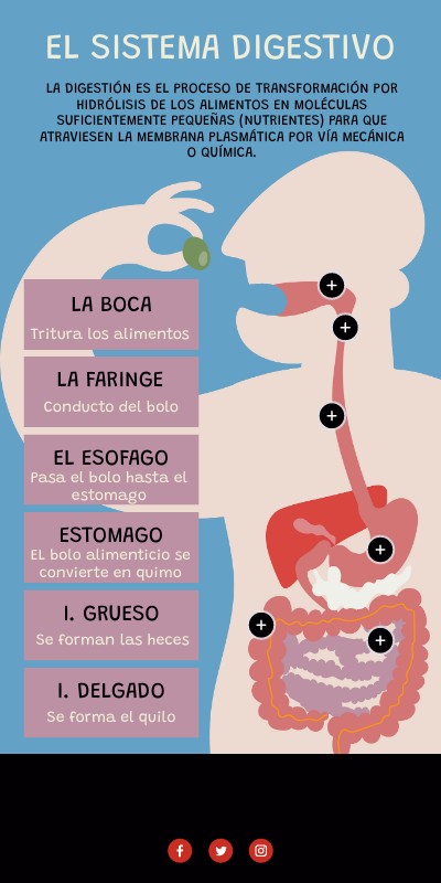DIGESTIVE VERTICAL INFO