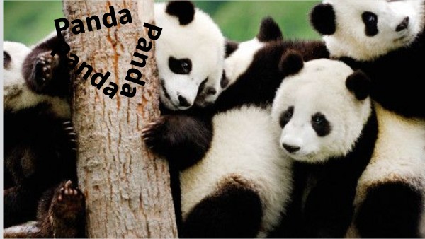 Panda | Genially