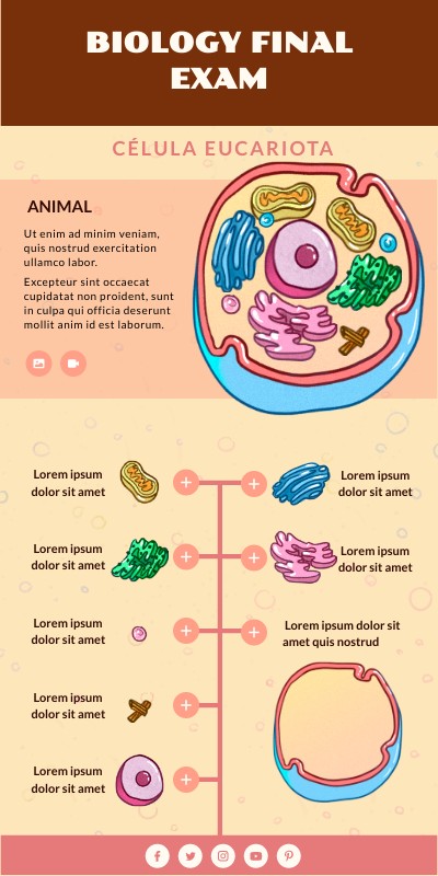 BIOLOGY FINAL EXAM | Genially