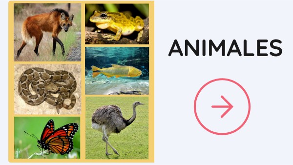 GRUPOS ANIMALES | Genially