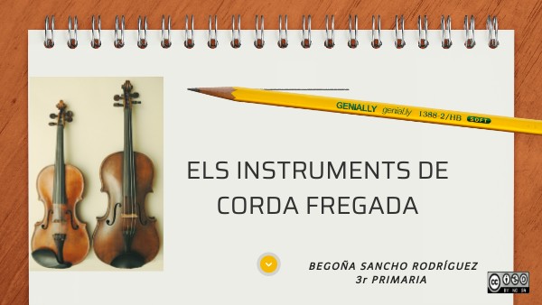 ELS INSTRUMENTS DE CORDA FREGADA