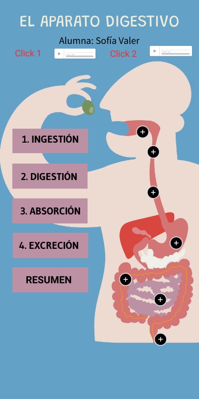 INFO VERTICAL DIGESTIVO