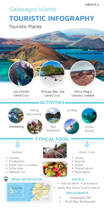 TRAVEL GUIDE INFOGRAPHIC