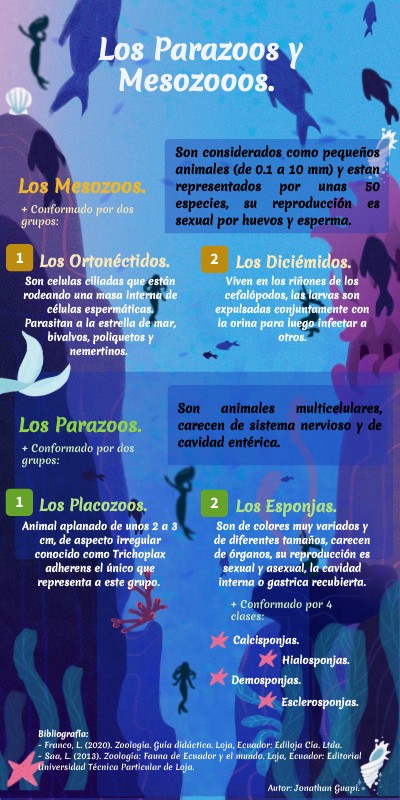 Los Metazoos | Genially