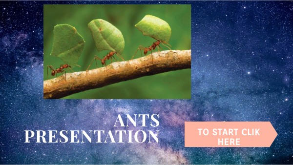 ANTS PRESENTATION