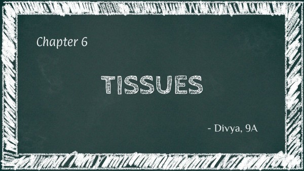 Biology - Ch.6 - Tissues - Mind Map | Genially