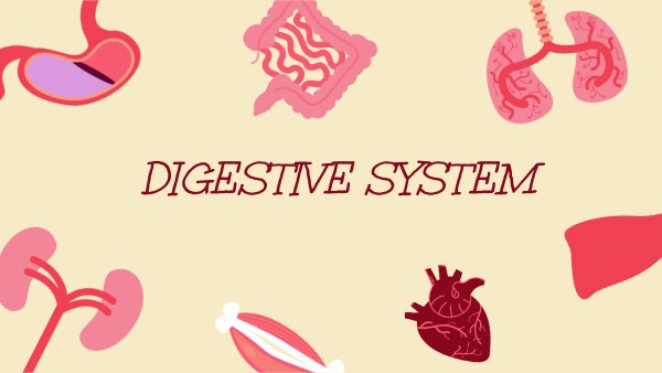 DIGESTI SYSTEM