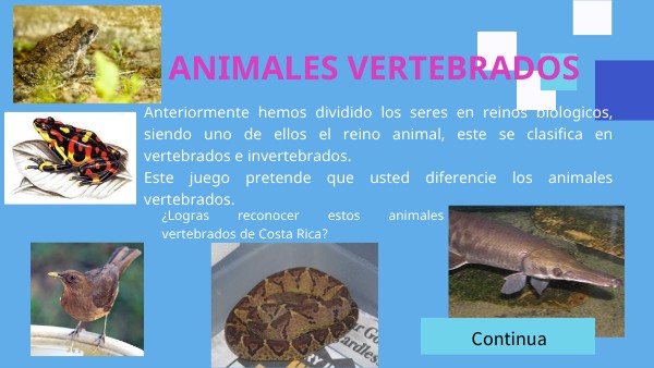 Descubre los animales vertebrados | Genially