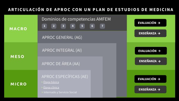 Articulación de APROC con un plan de estudios de medicina | Genially