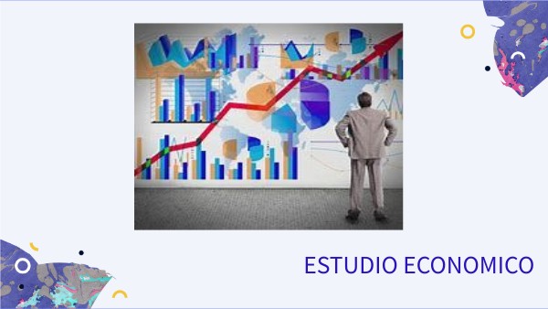ESTUDIO ECONOMICO