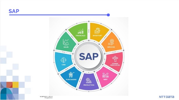 Overview SAP