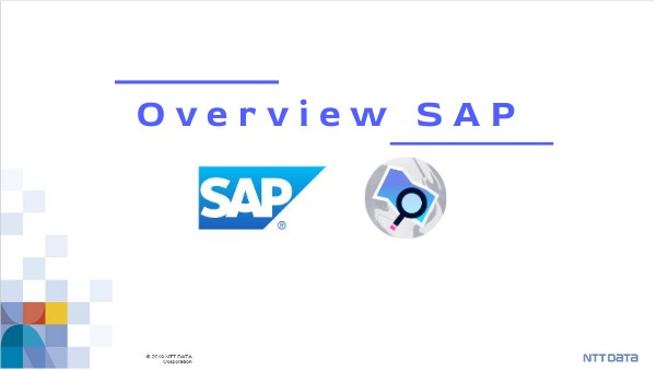 Overview SAP