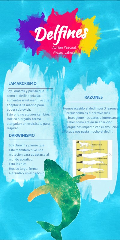 Evolución del delfin