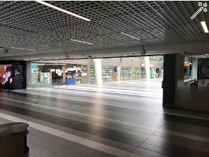 Chapter 2 | Genially