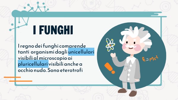 i funghi
