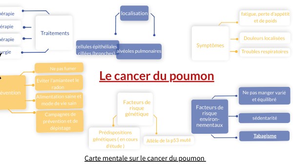 Copie - MIND MAP | Genially