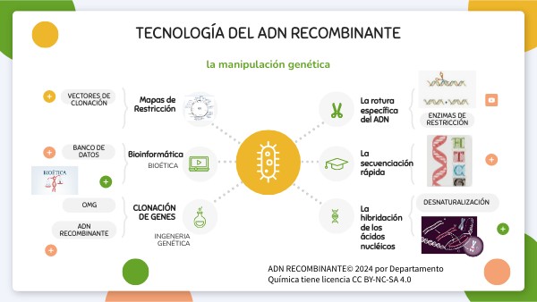 MAPA MENTAL ADN RECOMBINANTE | Genially