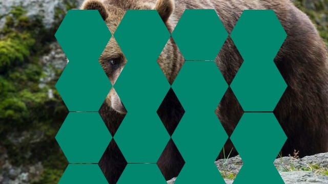 OSO