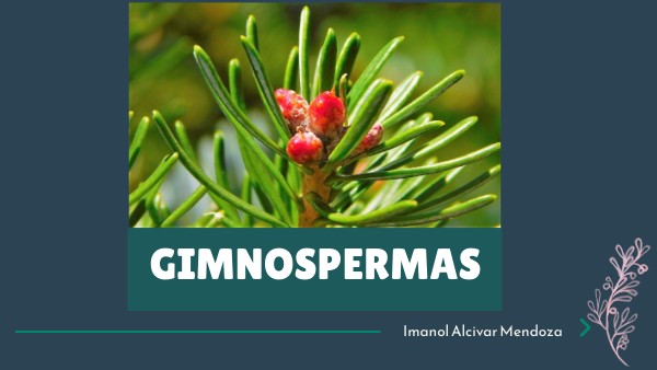 PRESENTACIÓN IMANOL | Genially