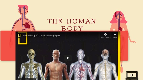 HUMAN BODY PRESENTATION