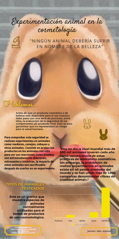 Infografía Testeo De Animales Genially