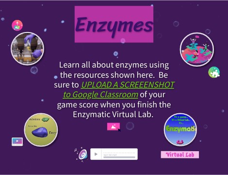 Enzymes | Genially