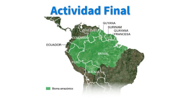 Actividad Final | Genially
