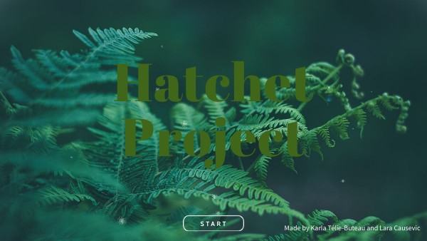Hatchet Project