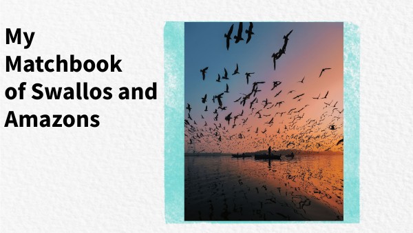 Matchbook chapter Summaries | Genially