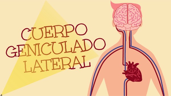 Cuerpo humano | Genially