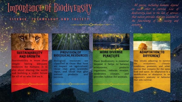 Biodiversity STS | Genially